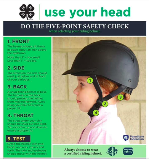 How to Properly Fit Your Riding Helmet - Lovelane