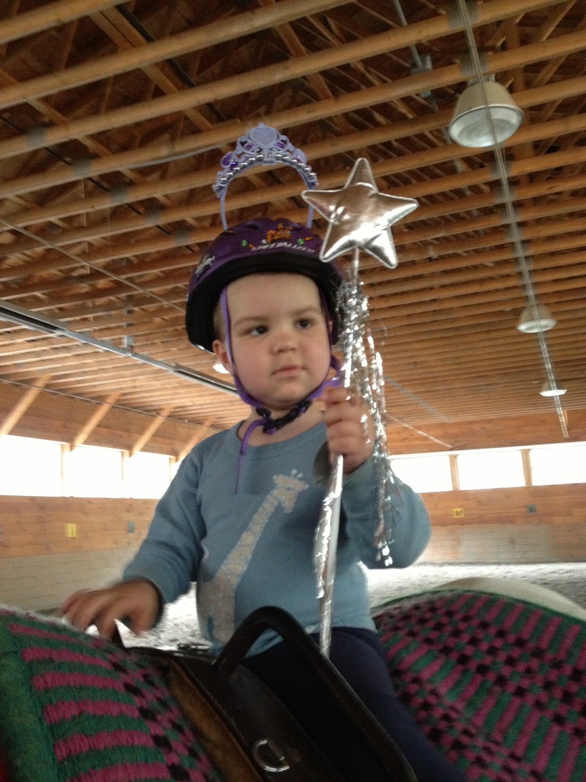 Thank you Roy A. Hunt Foundation - Lovelane